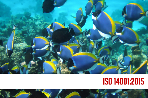 DCI Certification Indonesia